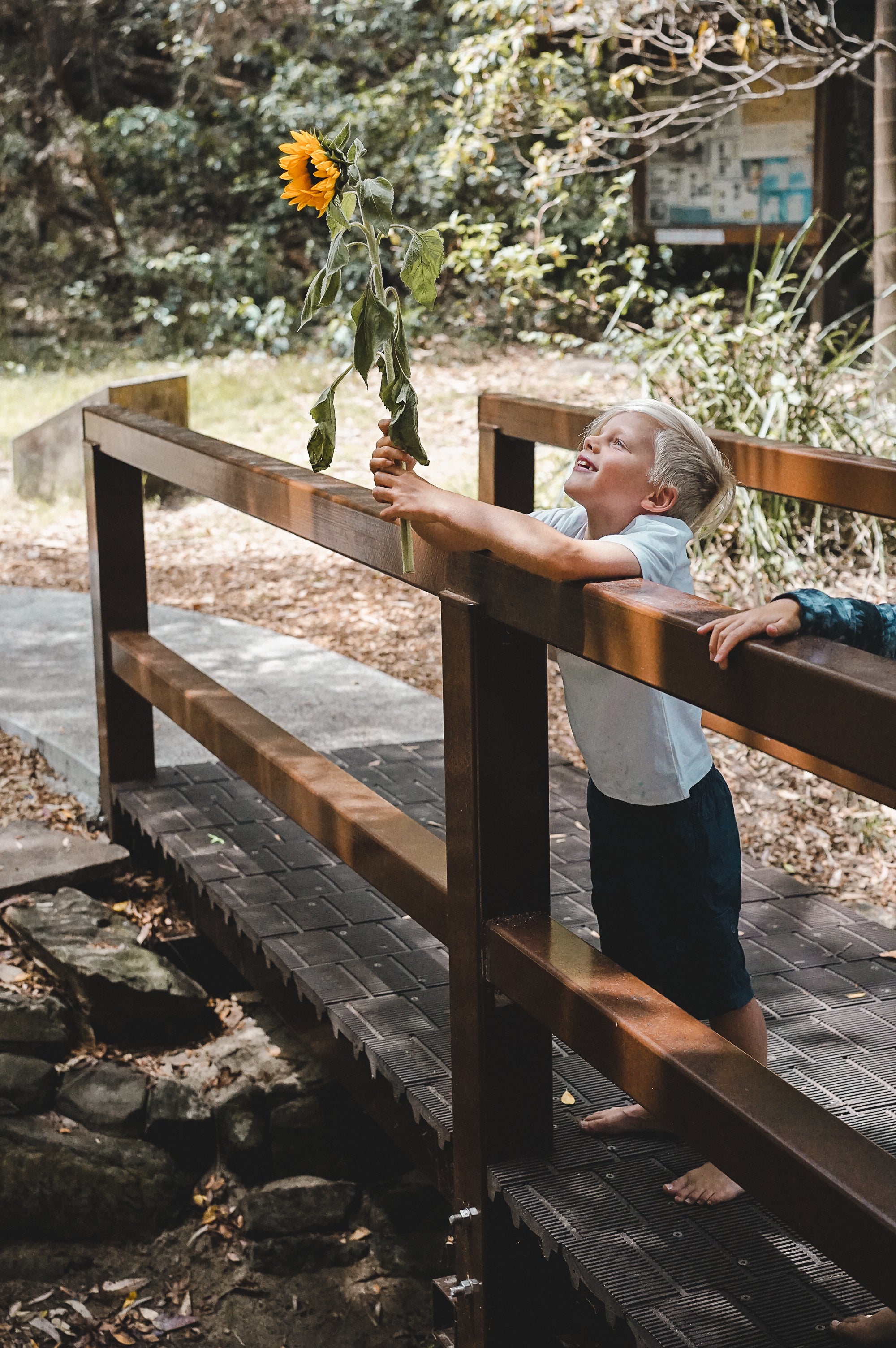 How to Teach Children Resilience in Uncertain Times – SunChild